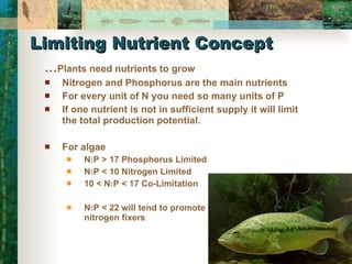 Aquatic ecology 101 | PPT