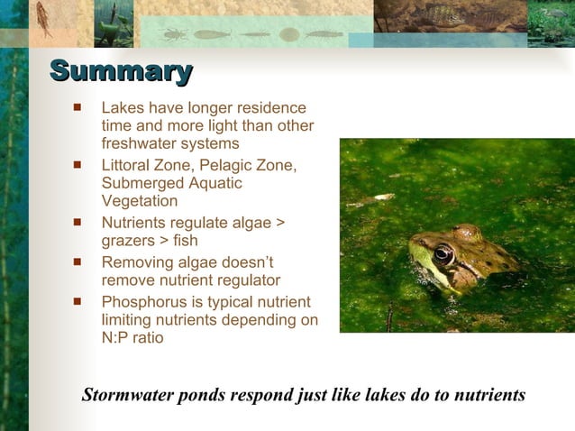 Aquatic ecology 101 | PPT