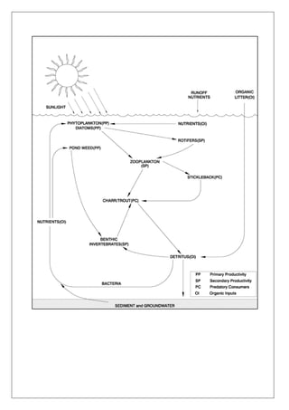 Aquatic Ecosystem Diagram