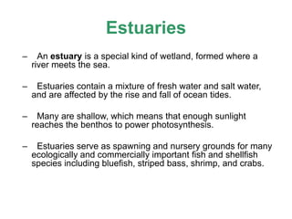 Aquatic ecosystem | PPTX