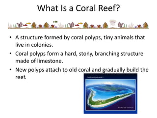 Aquatic ecosystem | PPTX