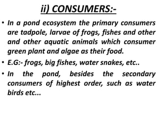 Aquatic ecosystem | PPTX