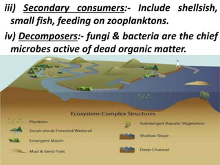 Aquatic ecosystem | PPTX