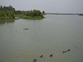 Aquatic eco system | PPTX