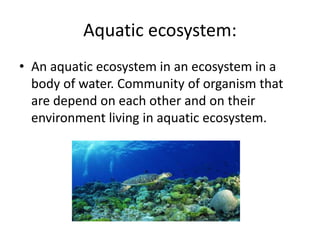 Aquatic eco system | PPTX