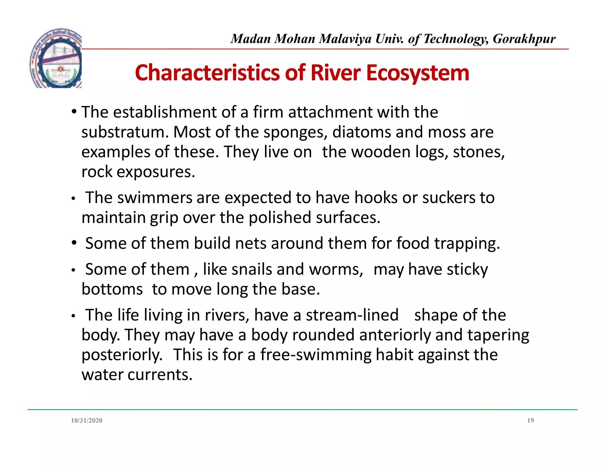 aquatic ecosystem.pptx