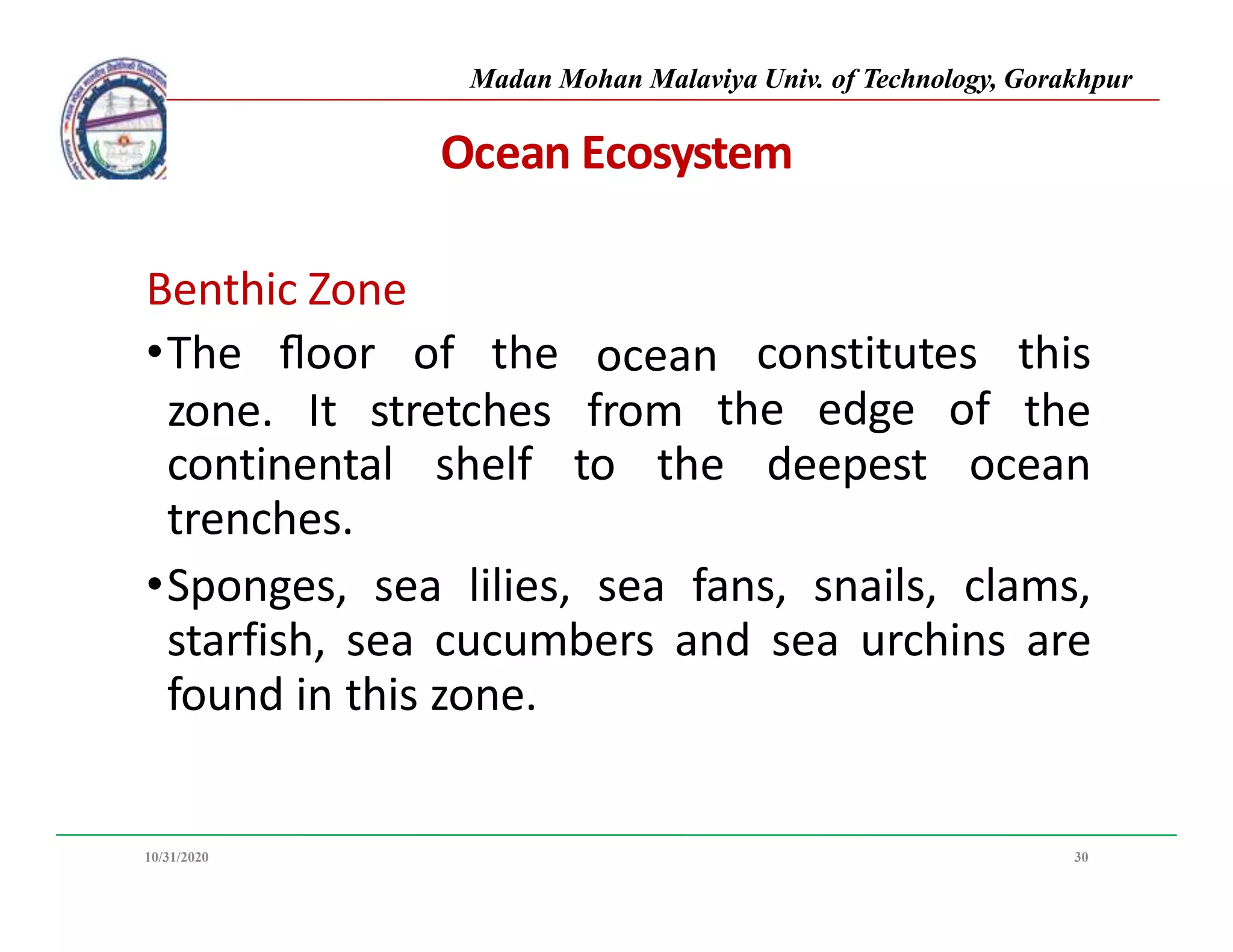 aquatic ecosystem.pptx