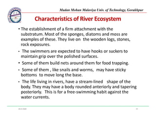 aquatic ecosystem.pptx