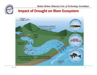 aquatic ecosystem.pptx
