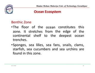 aquatic ecosystem.pptx