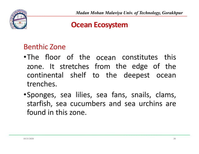 aquatic ecosystem.pptx