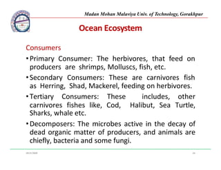 aquatic ecosystem.pptx