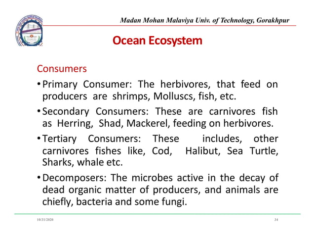 aquatic ecosystem.pptx