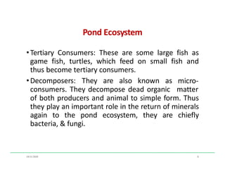 aquatic ecosystem.pptx