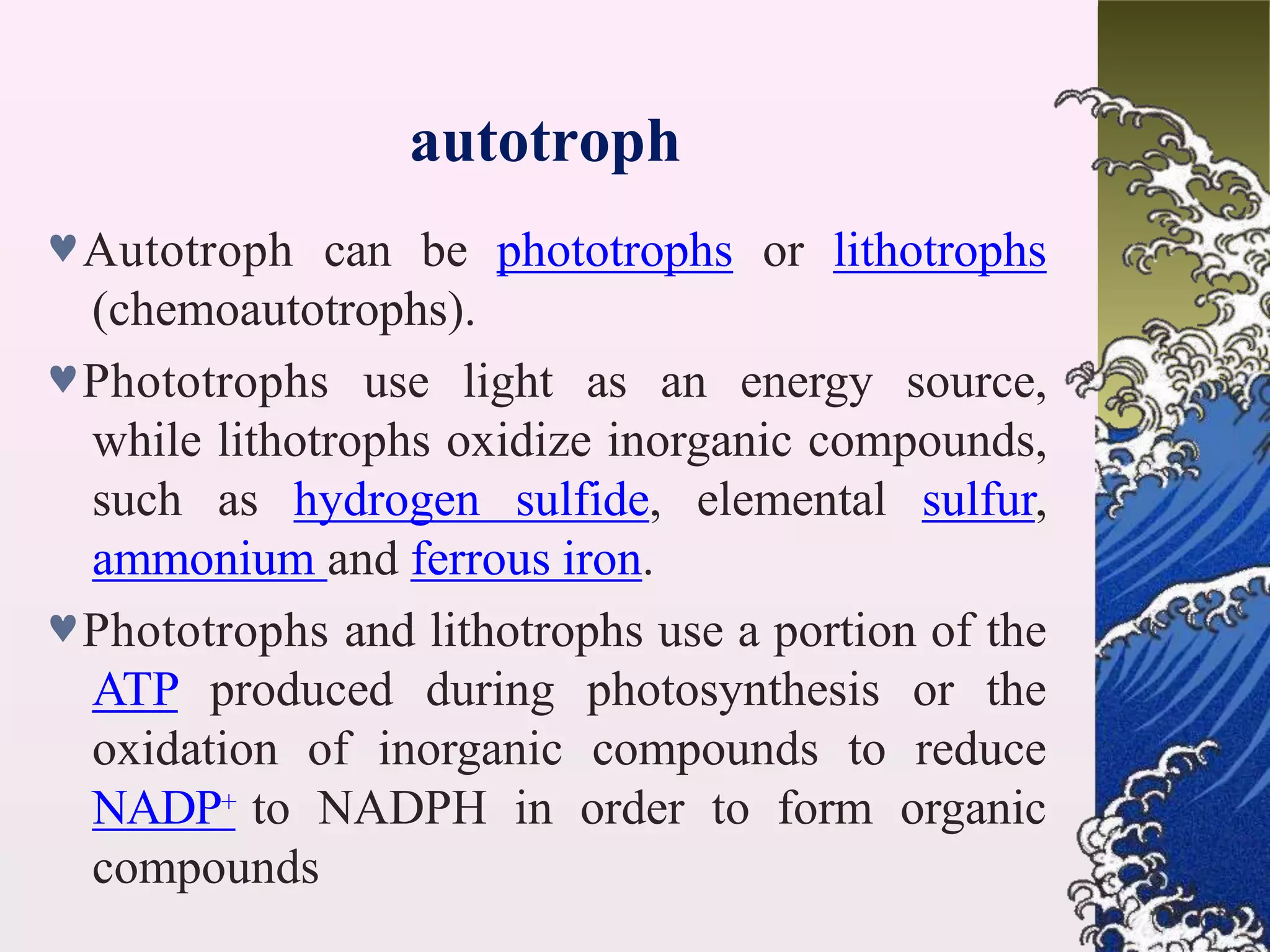 aquatic ecosystem.pptx