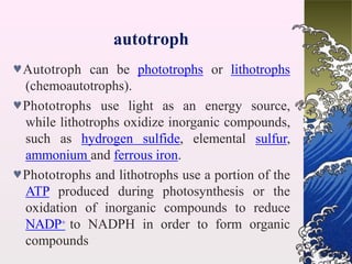 aquatic ecosystem.pptx