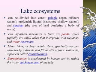 aquatic ecosystem.pptx