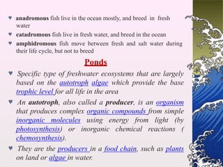 aquatic ecosystem.pptx