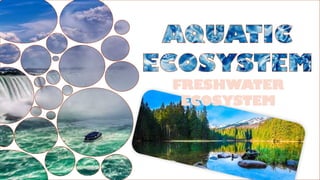 An aquatic ecosystem is a biological community of organisms and their ...