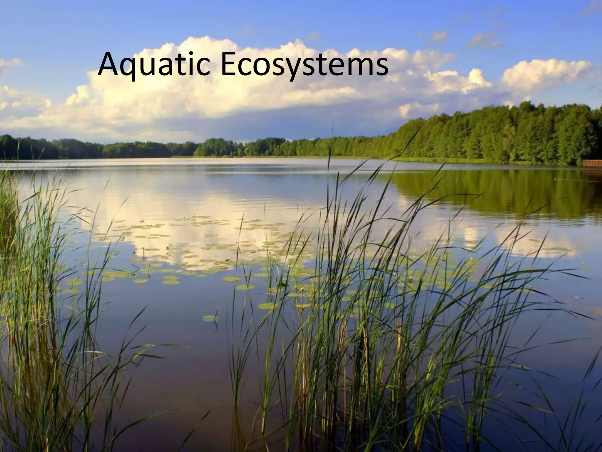 Aquatic ecosystem and water pollution | PPTX