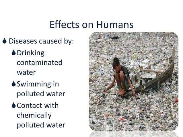 Aquatic ecosystem and water pollution