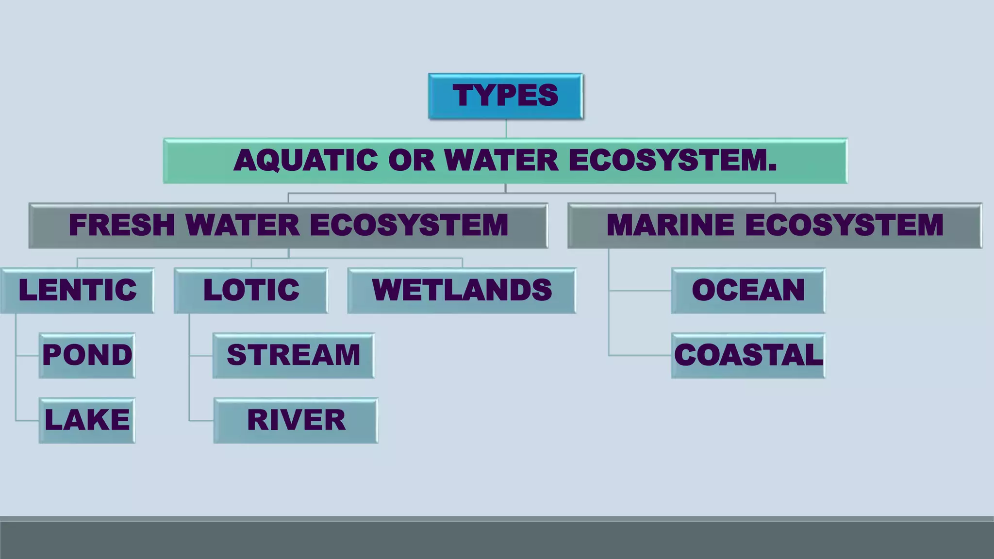AQUATIC ECOSYSTEM by Pranzly.ppt