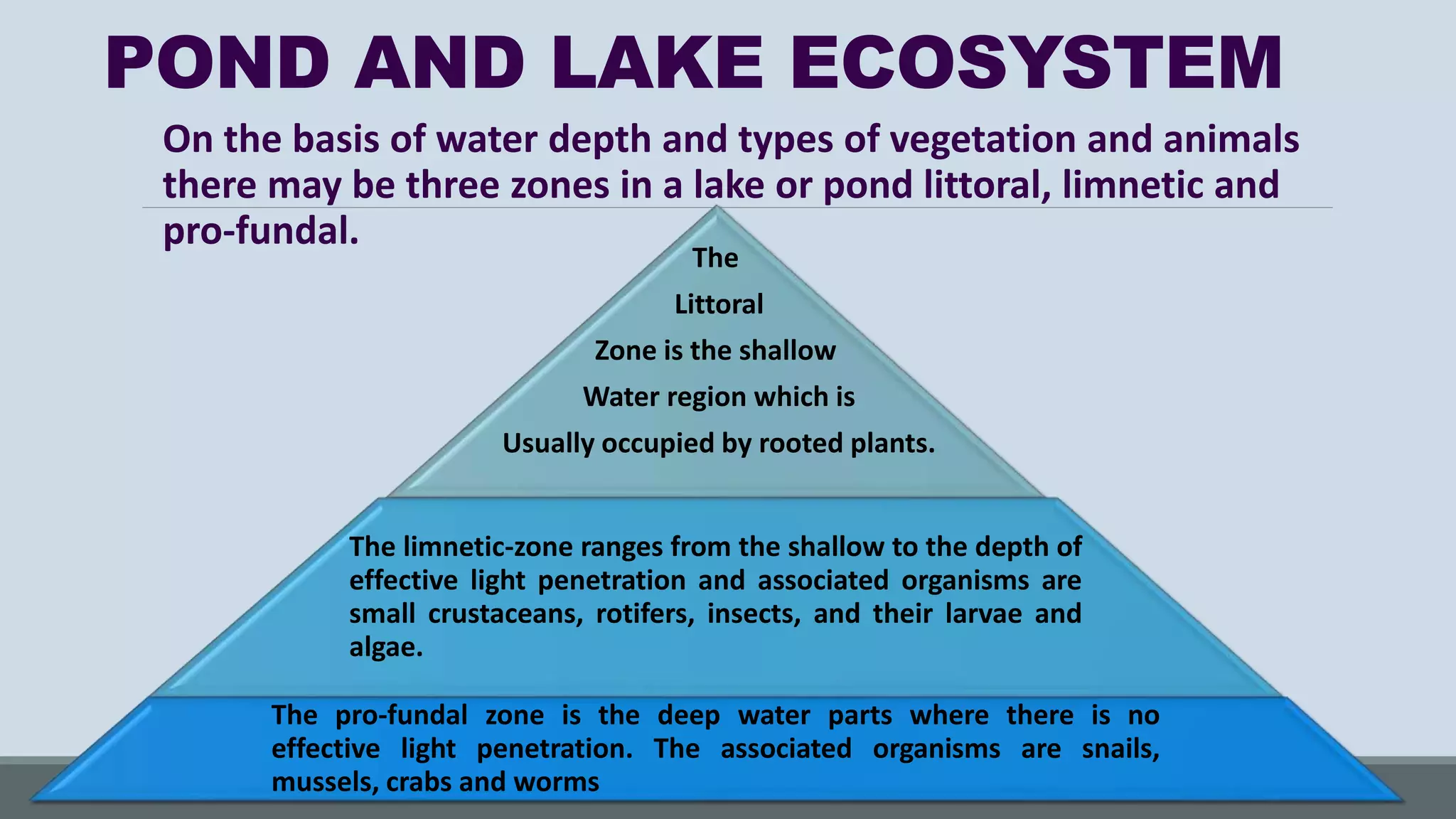 AQUATIC ECOSYSTEM by Pranzly.ppt