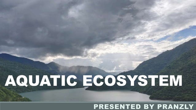 AQUATIC ECOSYSTEM by Pranzly.ppt