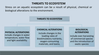 AQUATIC ECOSYSTEM by Pranzly.ppt
