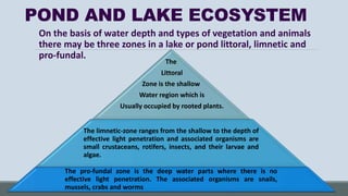AQUATIC ECOSYSTEM by Pranzly.ppt