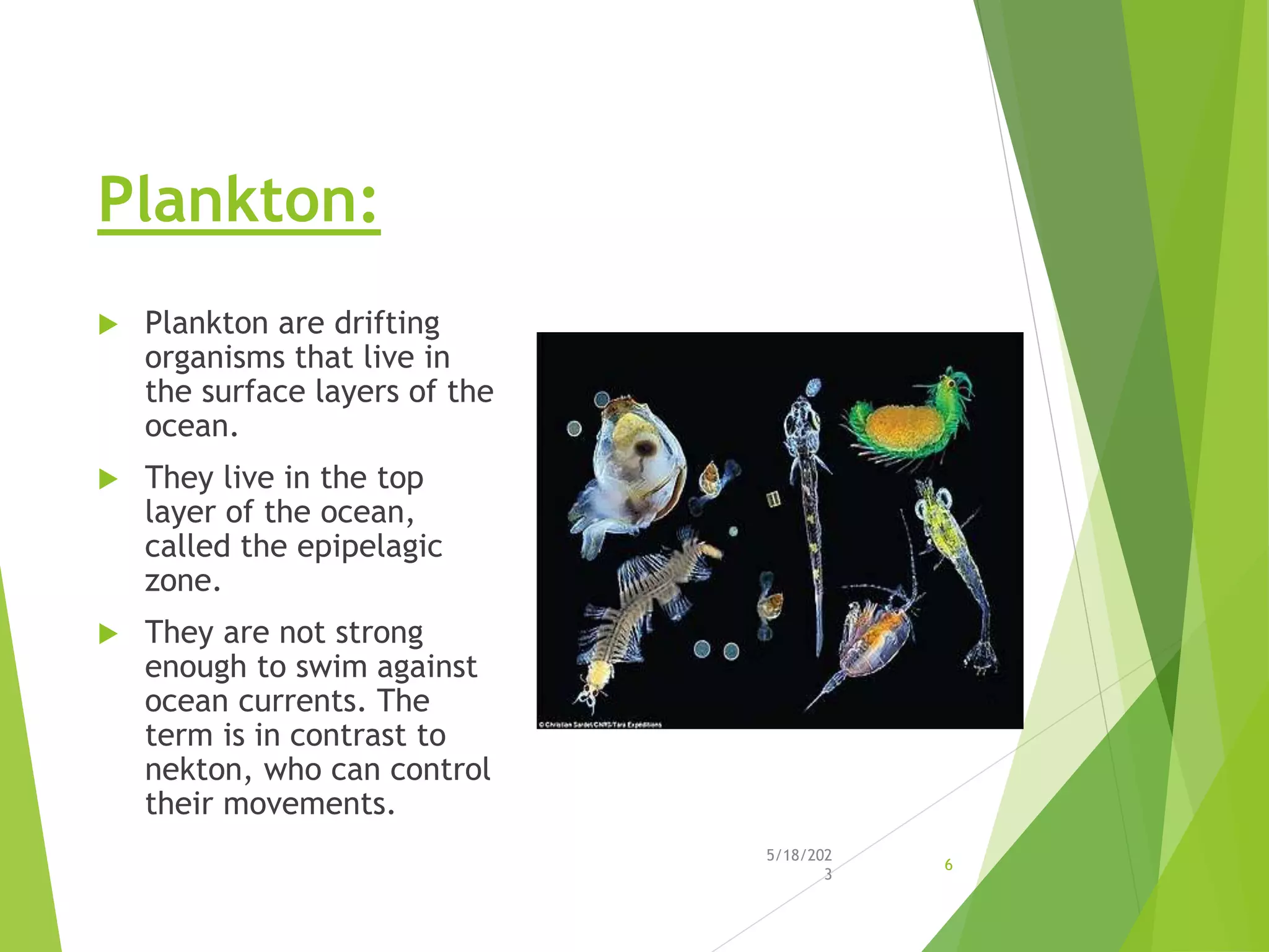 Aquatic Ecosystem in Pakistan.pptx