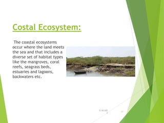 Aquatic Ecosystem in Pakistan.pptx