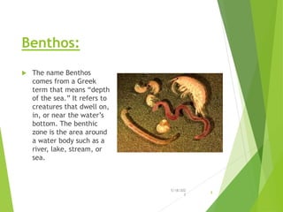 Aquatic Ecosystem in Pakistan.pptx