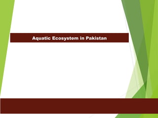 Aquatic organisms in ecosystem in pakistan.pptx