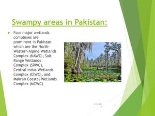 Aquatic organisms in ecosystem in pakistan.pptx