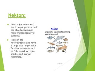 Aquatic organisms in ecosystem in pakistan.pptx