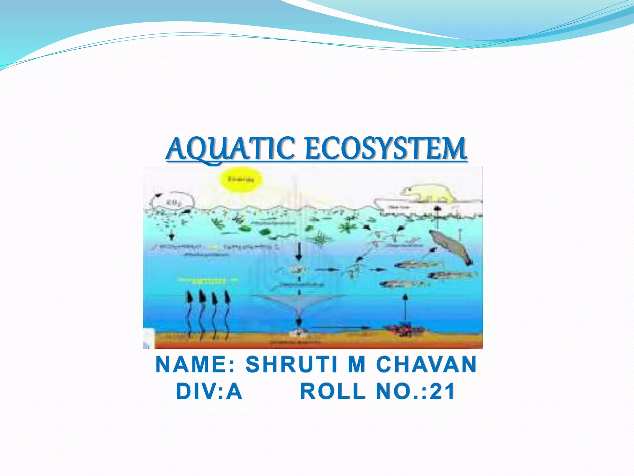 Aquatic ecosystem ppt | PPTX