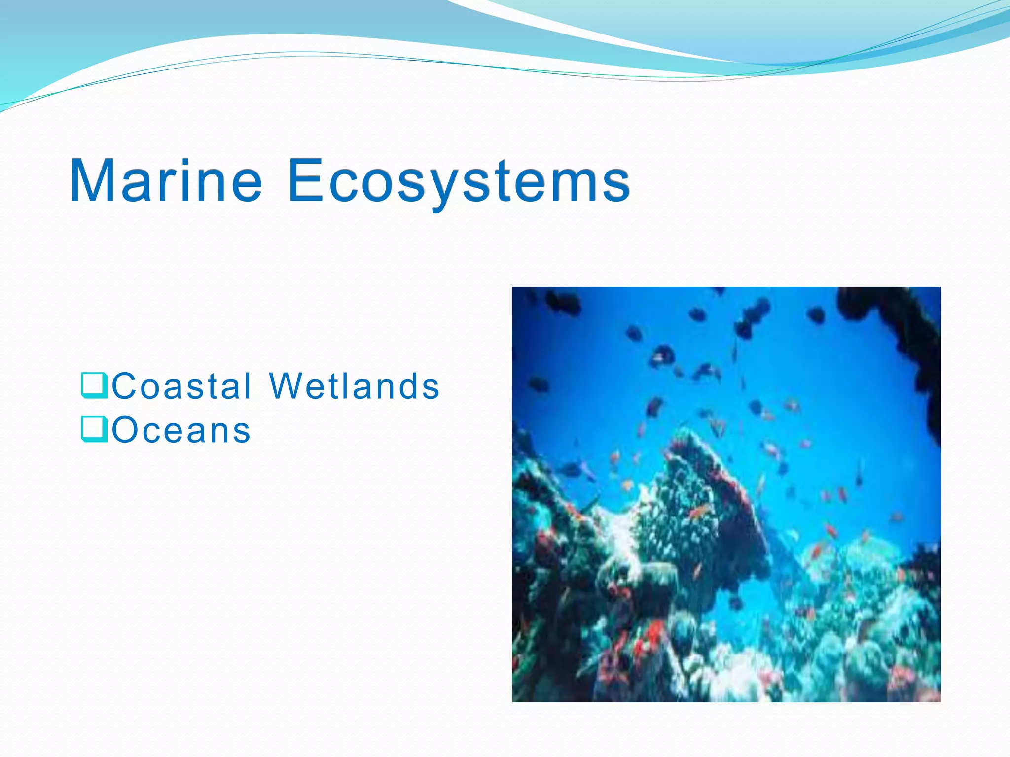 Aquatic ecosystem ppt | PPTX