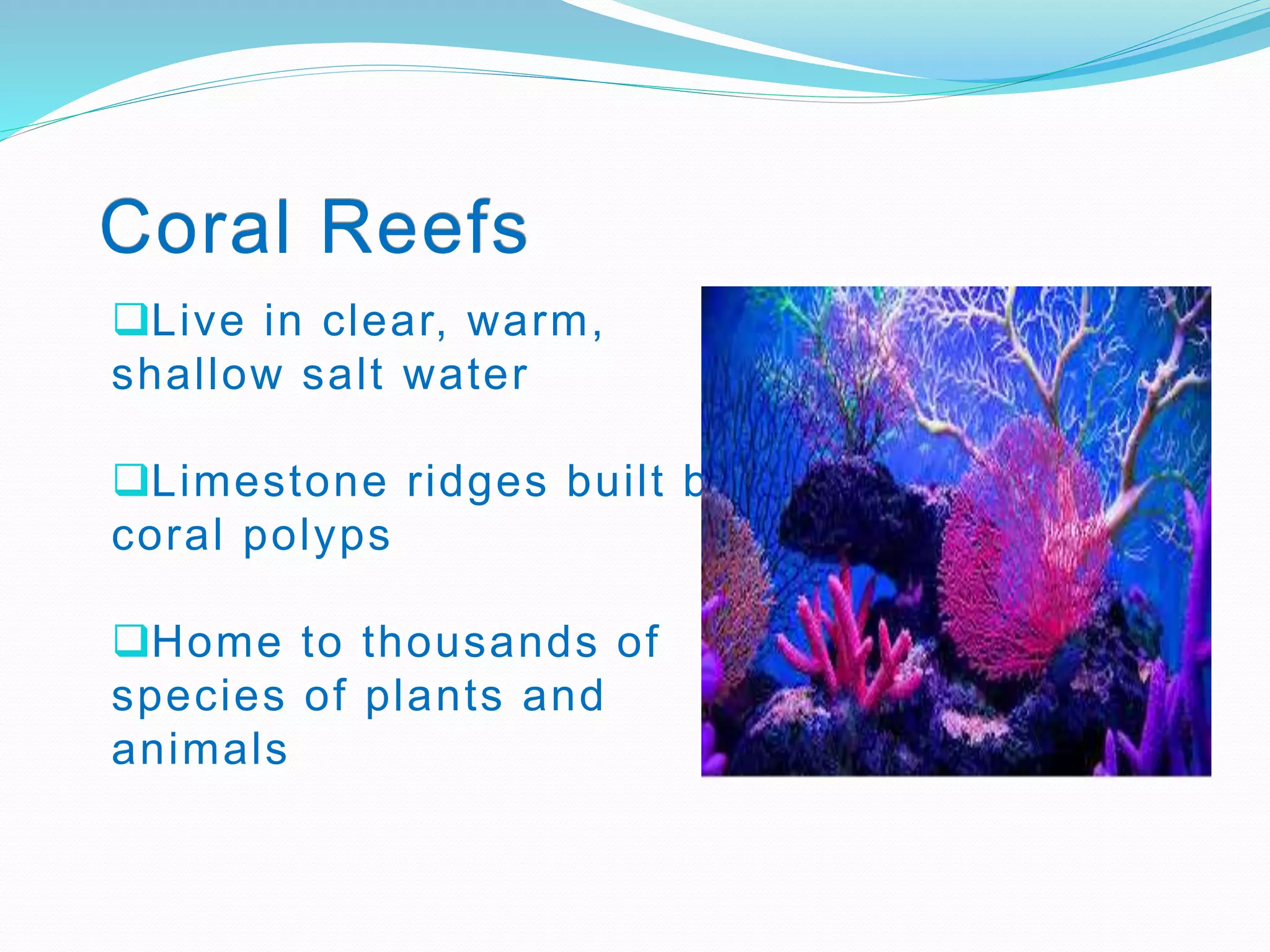 Aquatic ecosystem ppt | PPTX | Fish and Aquariums | Pets