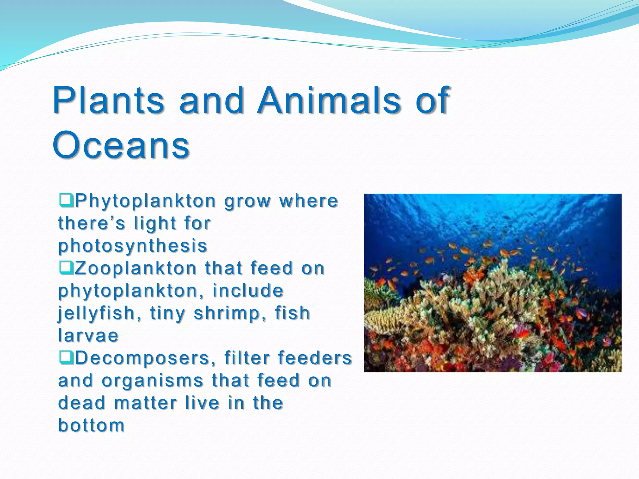 Aquatic ecosystem ppt | PPTX