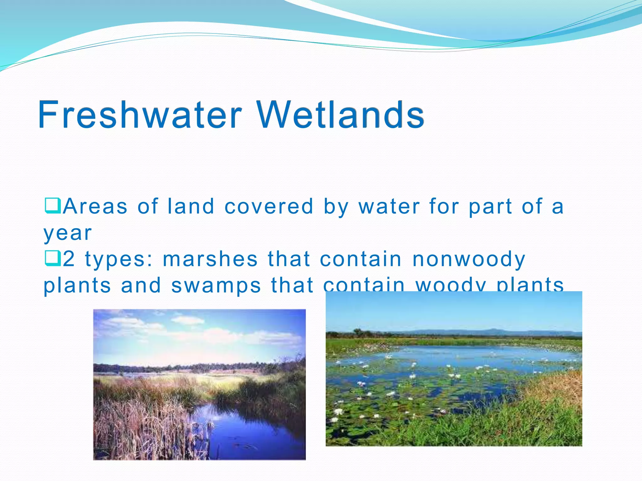 Aquatic ecosystem ppt | PPTX