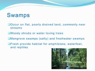 Aquatic ecosystem ppt | PPTX