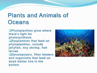 Aquatic ecosystem ppt | PPTX