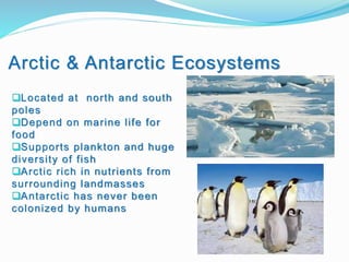 Aquatic ecosystem ppt | PPTX