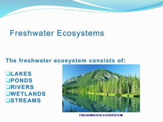 Aquatic ecosystem ppt | PPTX