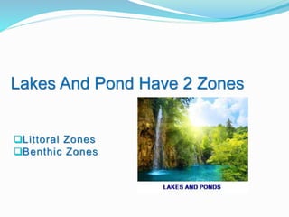 Aquatic ecosystem ppt | PPTX