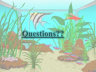 aquatic ecosystems environmental science | PPTX