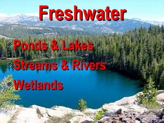 Aquatic ecosystems | PPT