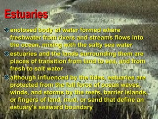 Aquatic ecosystems | PPT