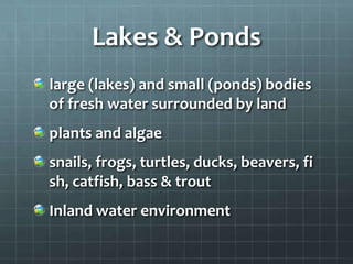 Aquatic Ecosystems | PPTX | Fish and Aquariums | Pets